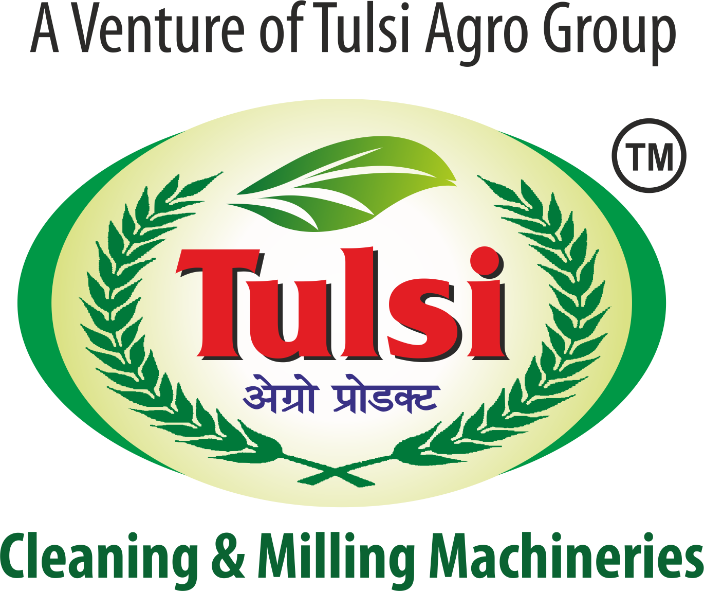 TULSIGREEN AGRI EXIM PRIVATE LIMITED – Food Products Manufacturer in Rajkot